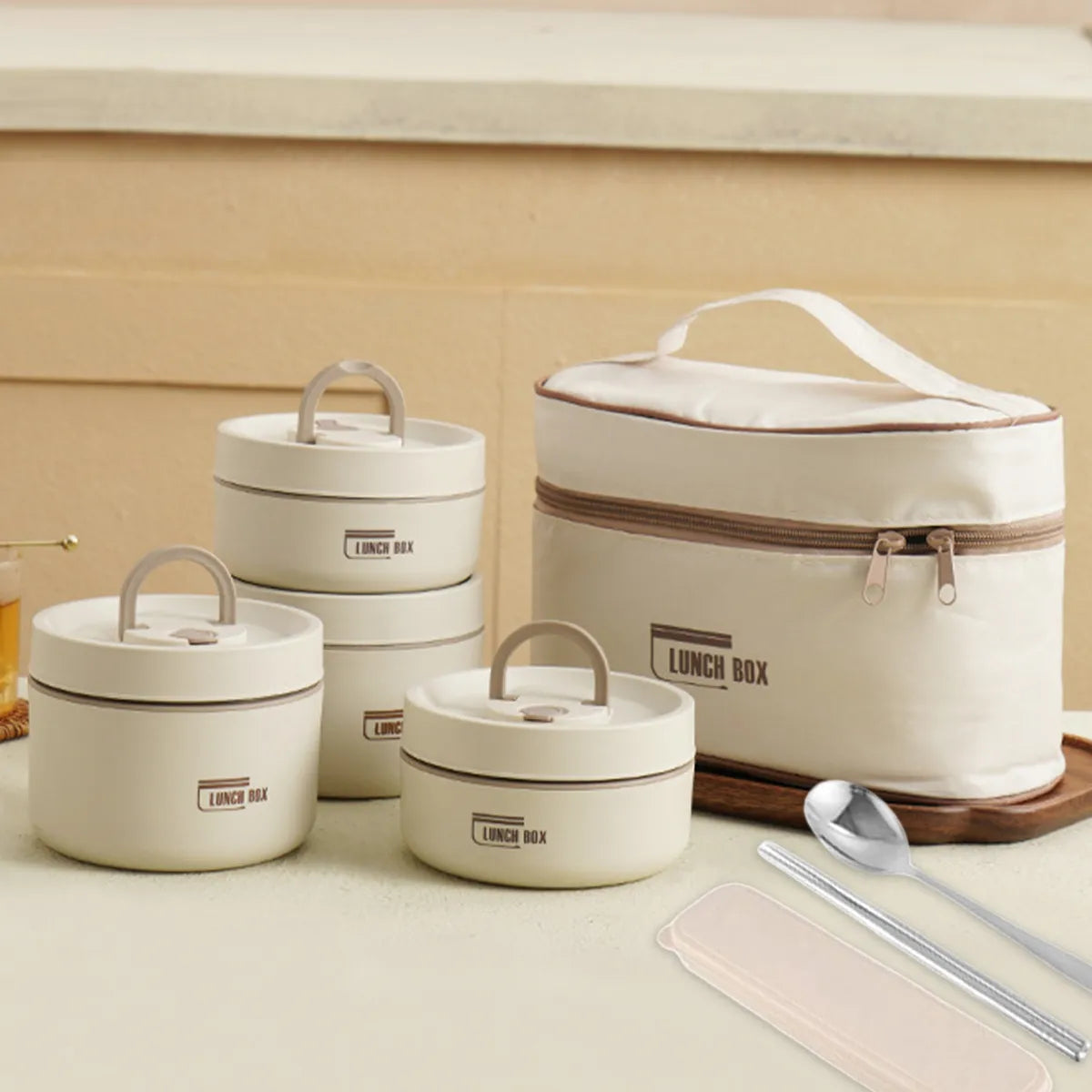 Portable Insulated Lunch box – Shop at Mars